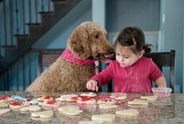 100% Sugar Ban Recommended for Toddlers - Chiropractor in St. Augustine